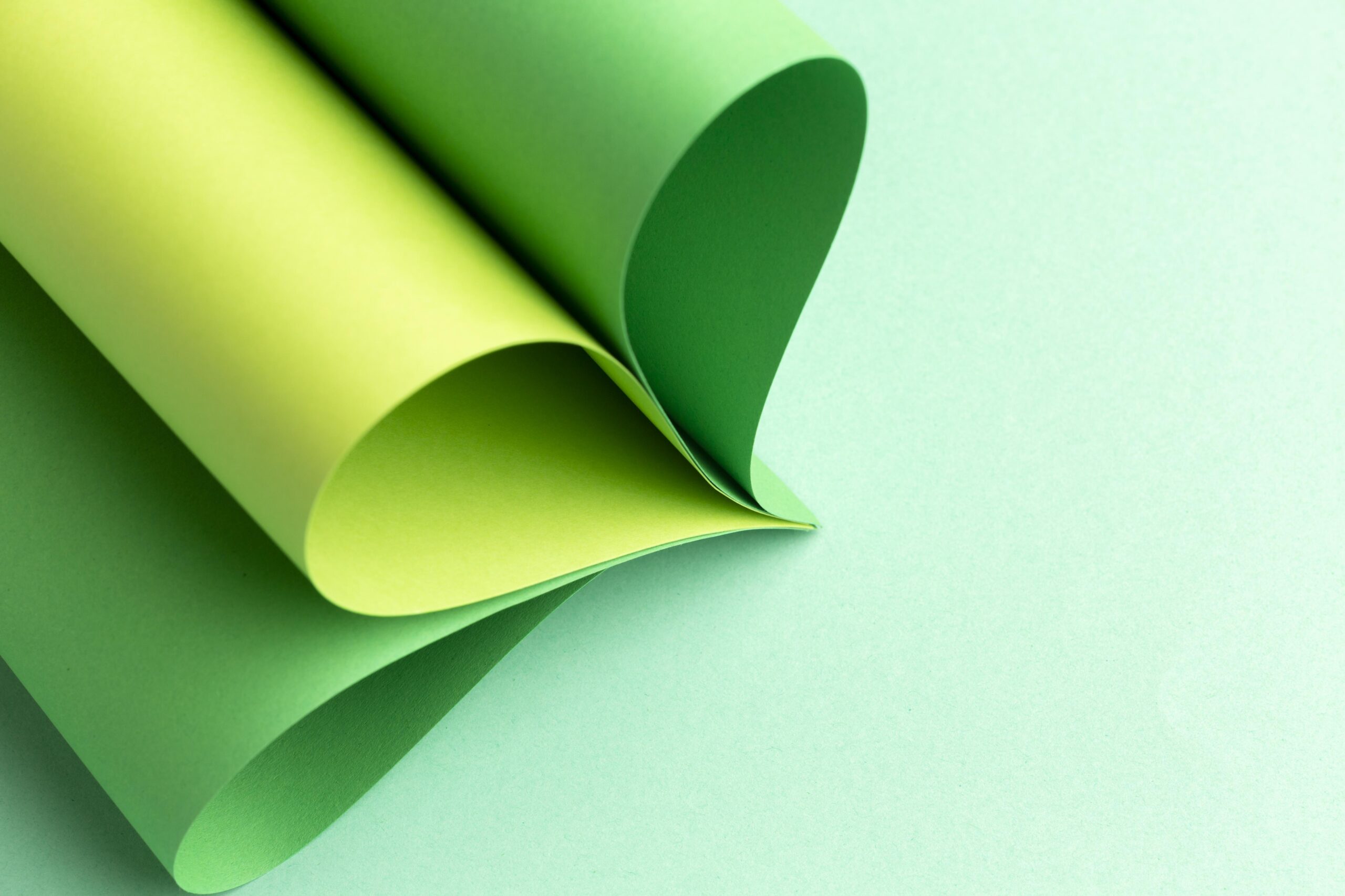 Tecnologia de Celulose e Papel – Instituto Passo 1 Sul